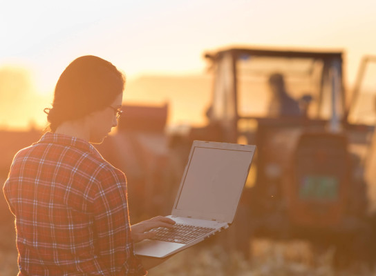 Agriculture at Easton College