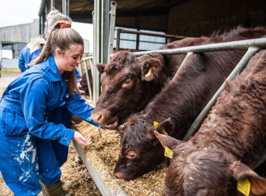 Agriculture at Easton College